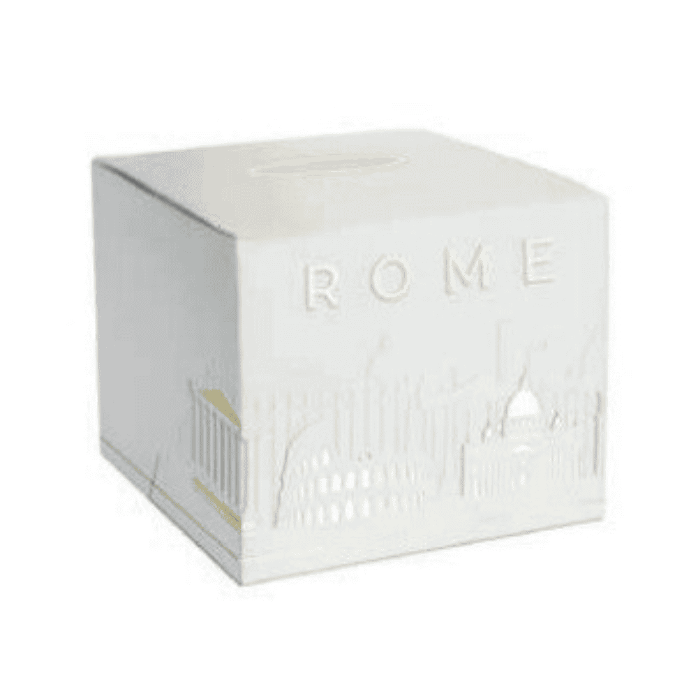 Tartufi Jimmy signature rome box- premium minced summer truffle 40gr (3 ...